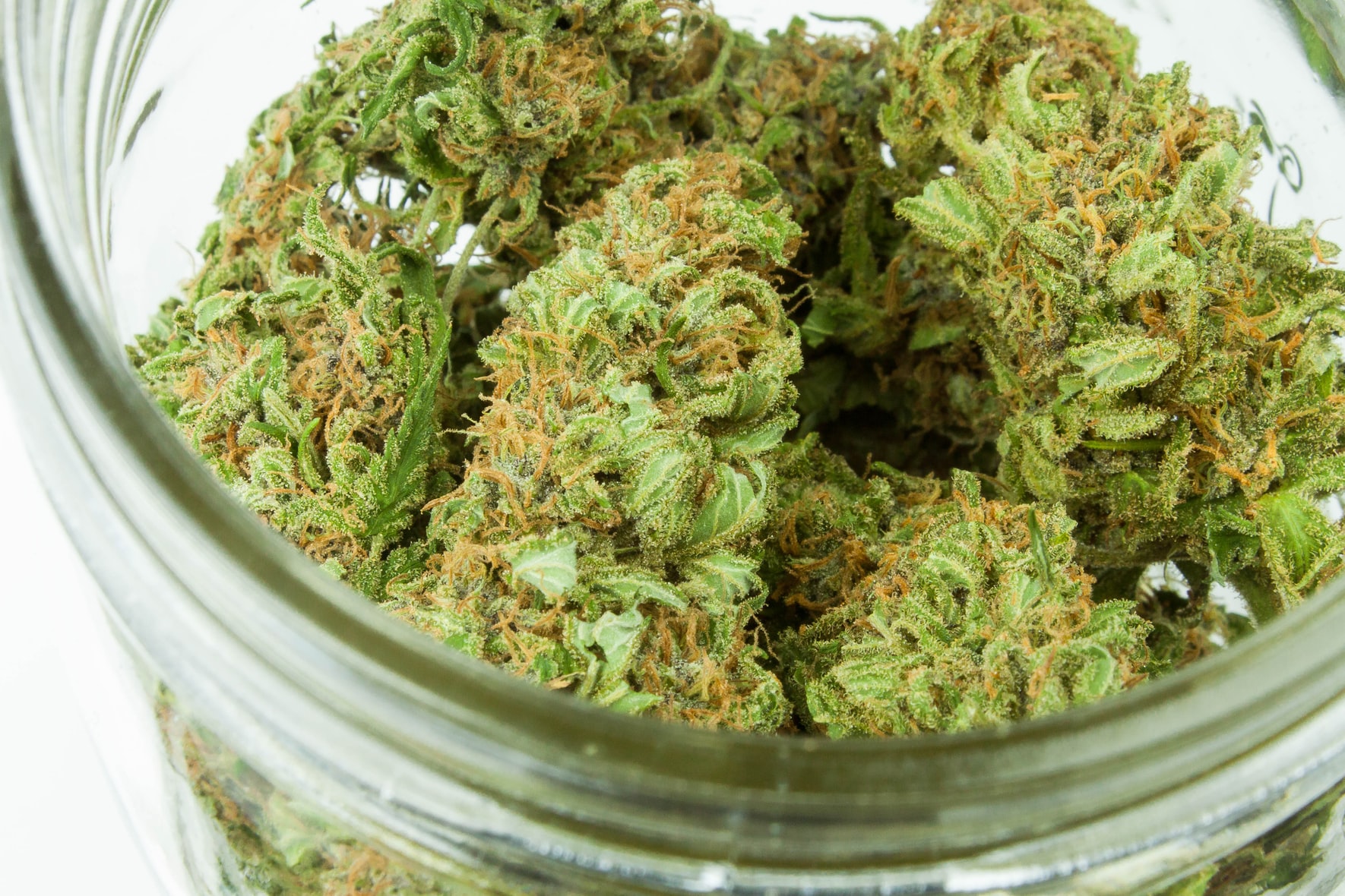 How Much Is A QP Of Weed Canna Provisions How Much Is A QP Of Weed Canna Provisions
