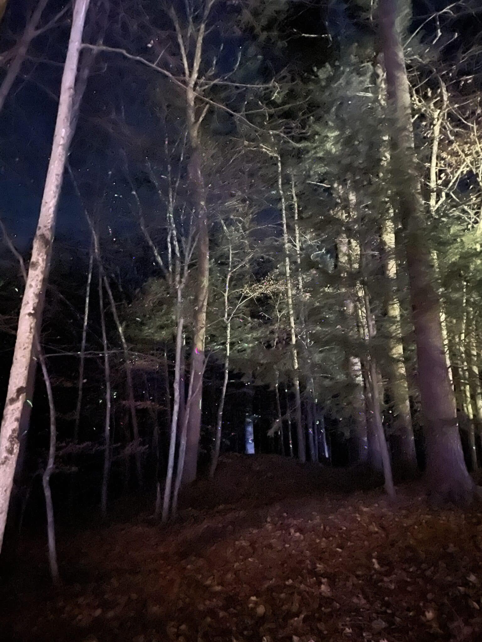 NightWood at The Mount in Lenox, MA - Event Info