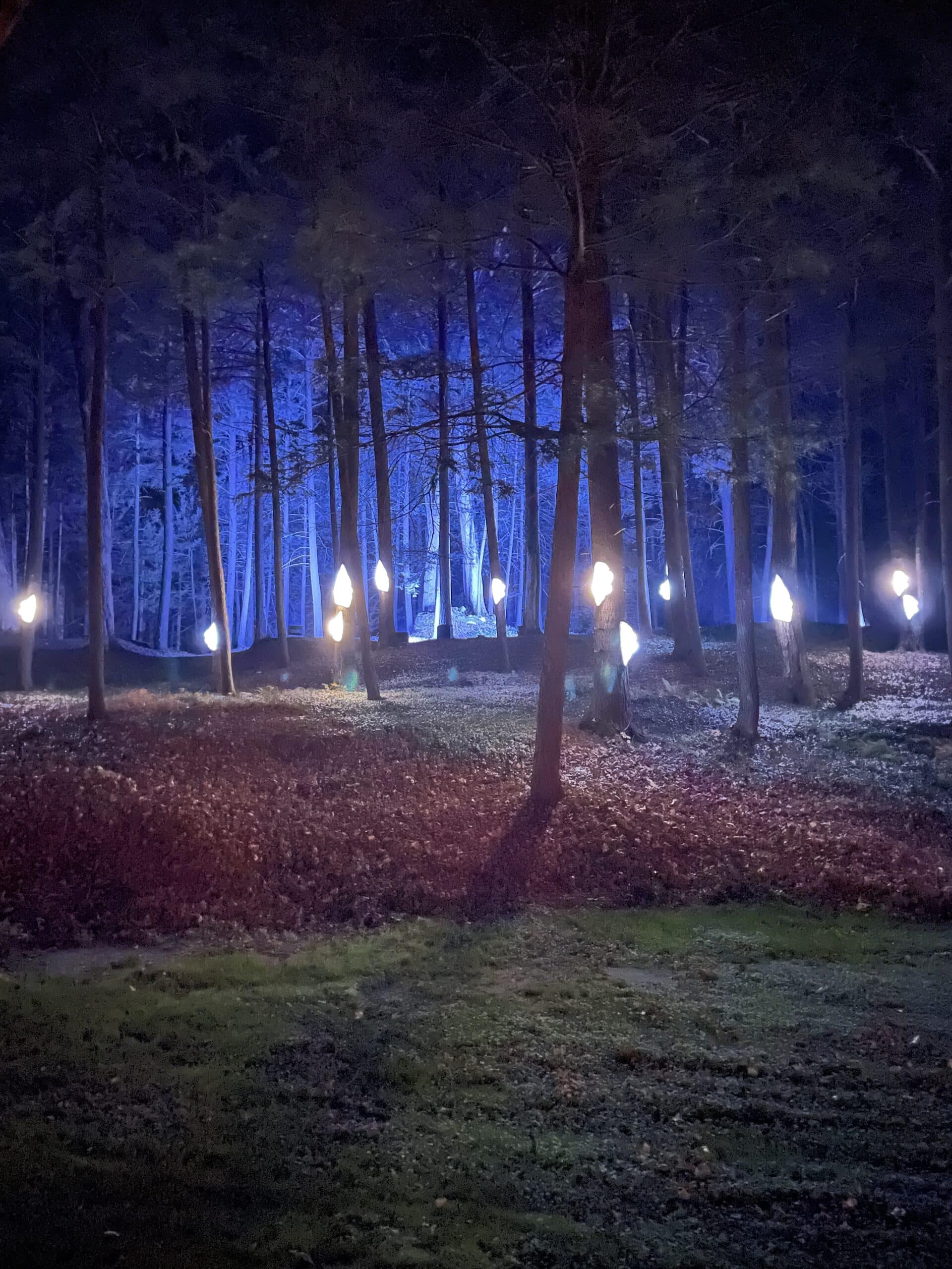 NightWood at The Mount in Lenox, MA - Event Info