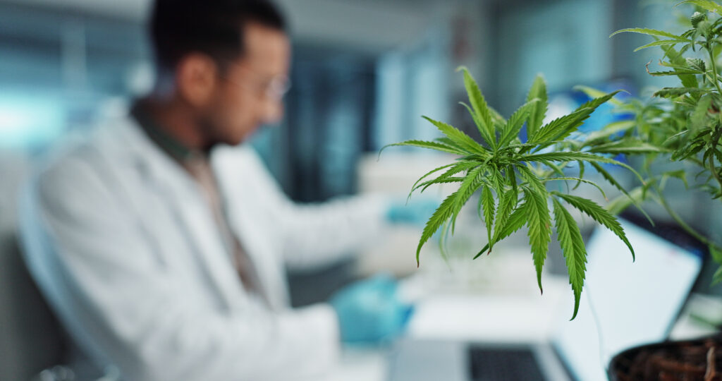 Celebrate Earth Day 2025: Embrace Sustainability and Cannabis - Canna ...
