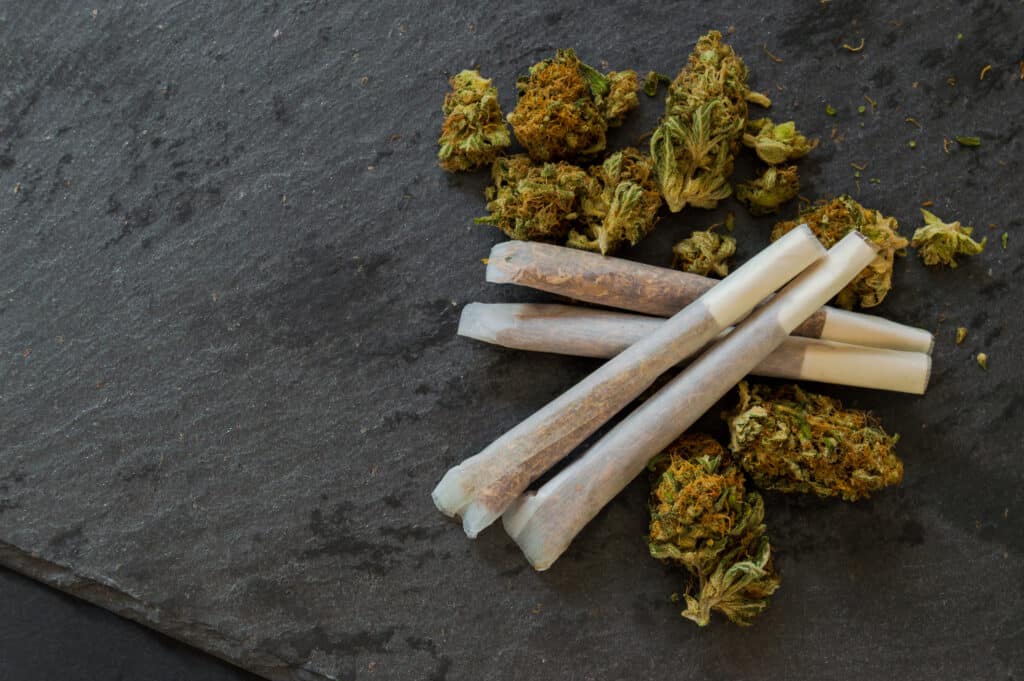 2026 Cannabis Strain Guide: Best Weed Picks for the New Year - Canna ...